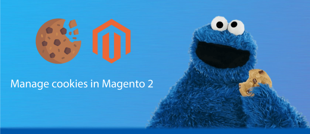 Cookies In Magento 2 - How To Manage In A Simple Tutorial