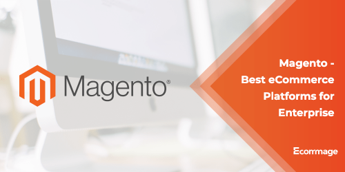 How to Build a Magento Website: 101 Guide for Beginners