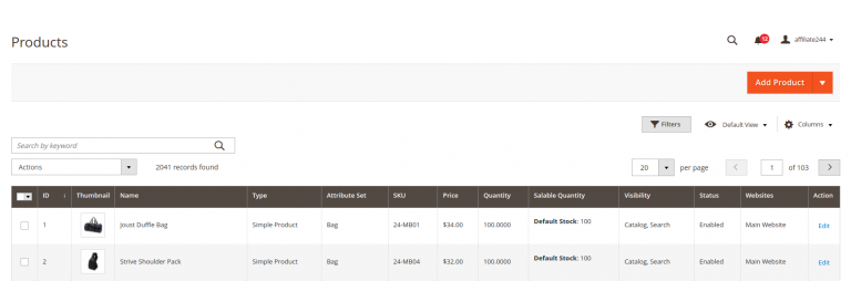 How to Build a Magento Website: 101 Guide for Beginners