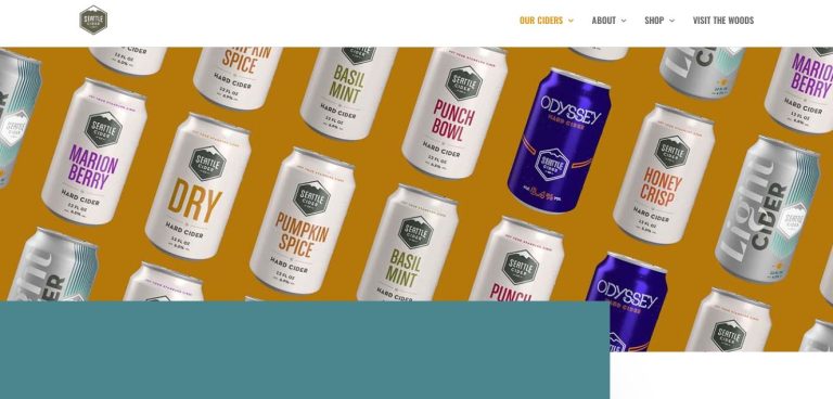 Discover Some Most Famous One Product Shopify Store examples 2024