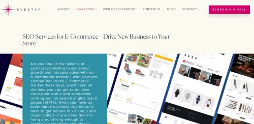 15 Top eCommerce SEO Companies 2024 If You're Looking for Support