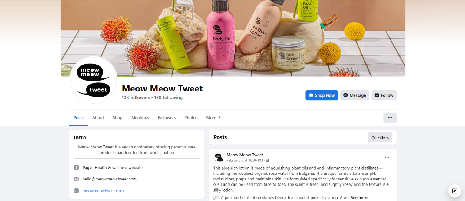 Top 12 Shopify Facebook Store Examples For Inspiration In 2023